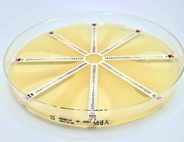 Mueller Hinton II Agar - EWC Diagnostics